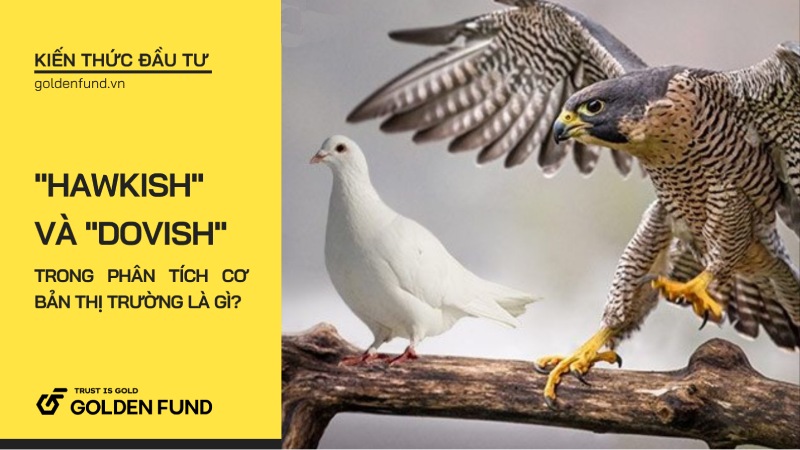 Tìm hiểu về thuật ngữ "Hawkish"và "Dovish" trong phân tích cơ bản thị ...